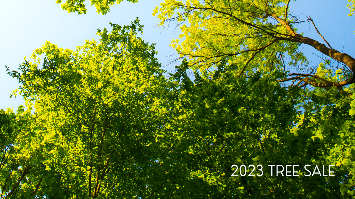 2023 Tree Sale | Seneca Conservation District