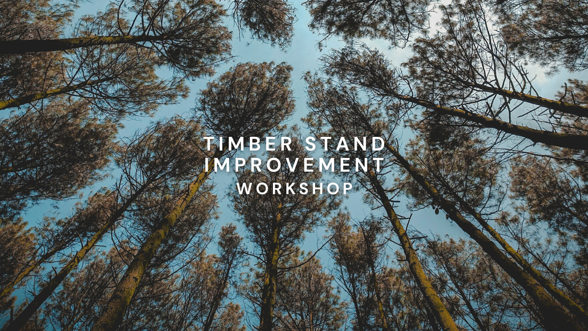Timber Stand Improvement Workshop | Seneca Conservation District