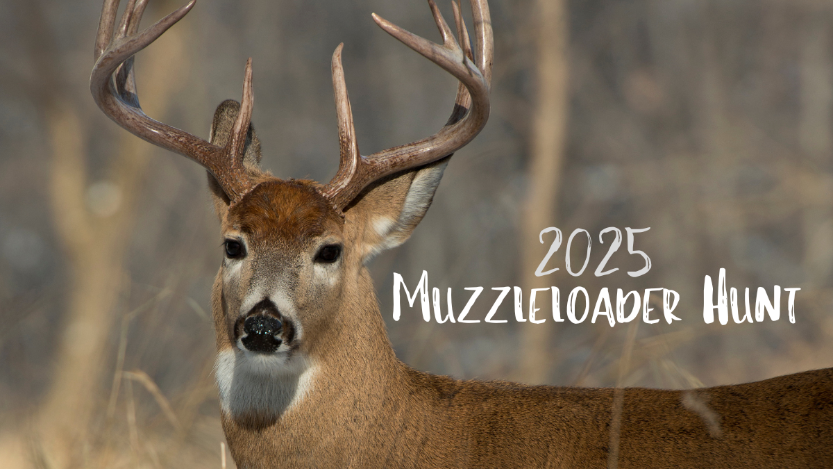 2025 Muzzleloader Deer Hunt | Seneca Conservation District