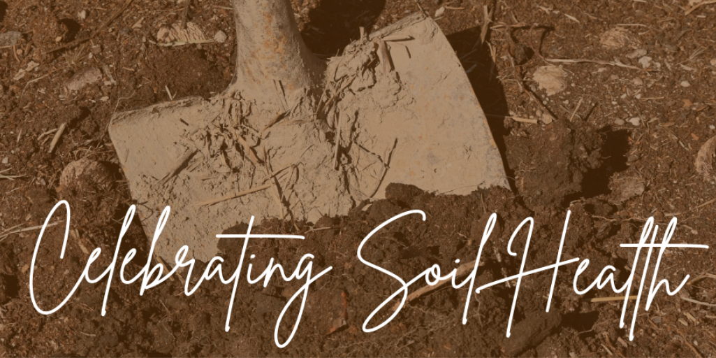 Ohio Landowner - Hunter Access Partnership Program (OHLAP) | Seneca ...